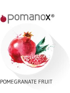 pomegranate fruit punica granatum – Antra Biopharma Solutions